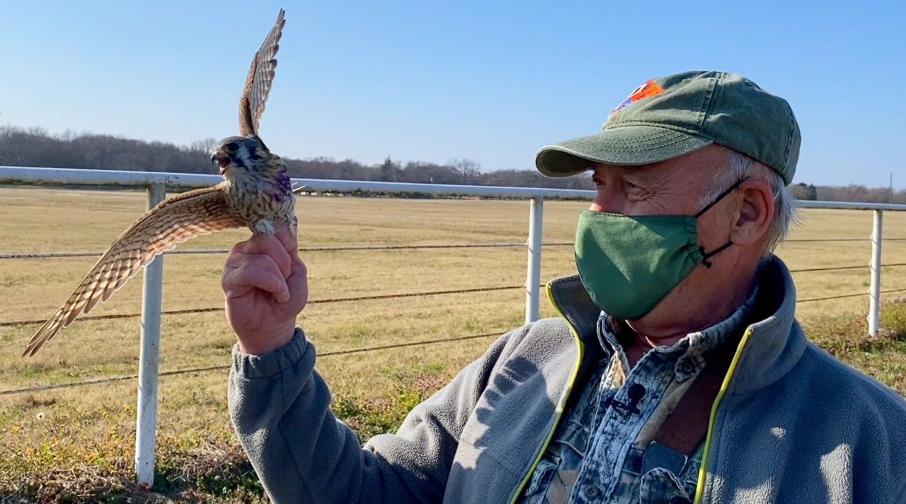 Scientist Worry LED Street Lights Could Affect Birds