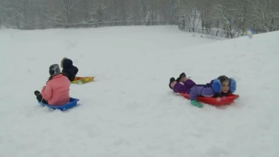 Snow Other Way To Enjoy A Day Off School