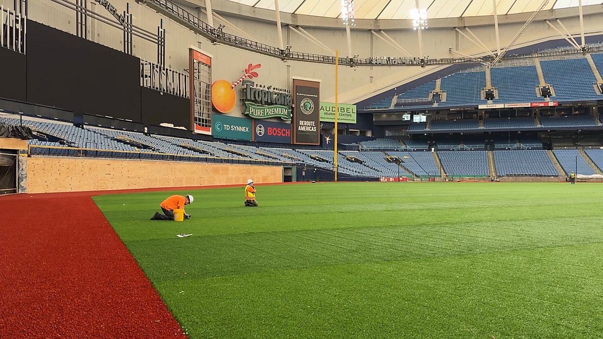 No place like home: The Tampa Bay return to Trop