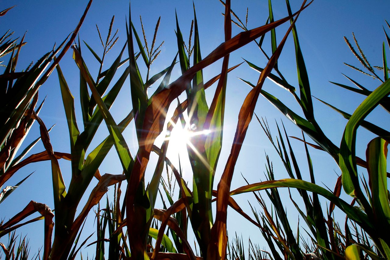Report details how Wisconsin is impacted by climate change