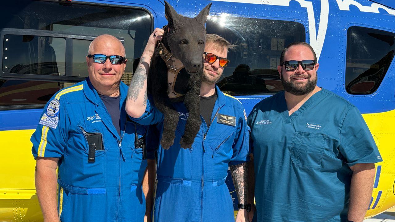 TGH first in Florida to airlift injured K-9 officers