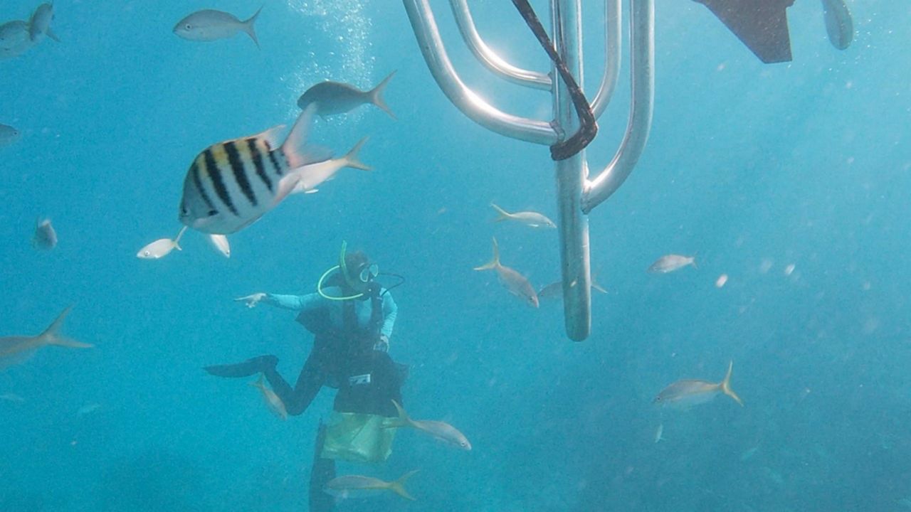 Protecting Paradise: The Race to Save Florida's Coral Reefs