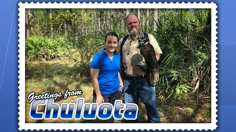 Florida on a Tankful: Falconry Adventures of Orlando
