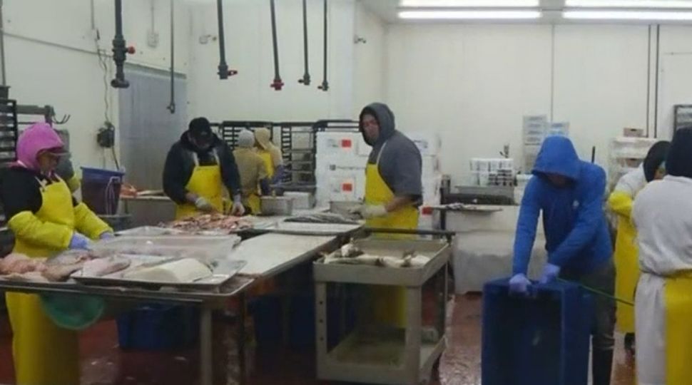 Seafood warehouse store