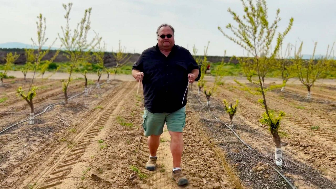 Water witches in high demand amid California drought