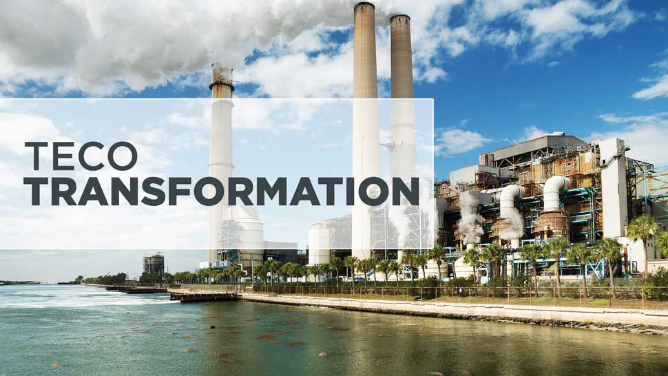 environmentalists fighting teco modernization project