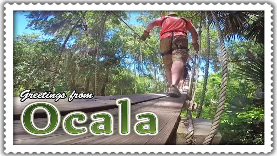 Florida on a Tankful: 5 Things to Know About Canyons Zip Line and ...