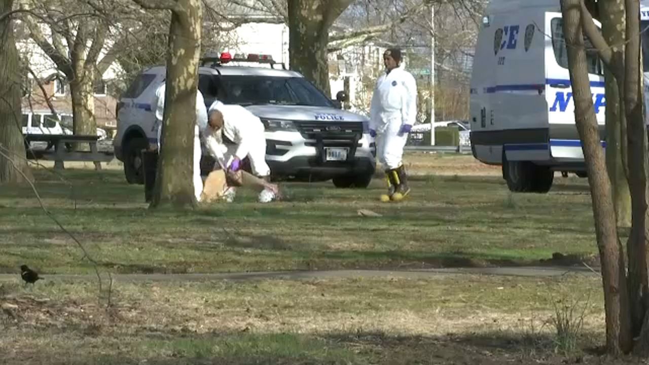 Police ID dismembered body found in Brooklyn park