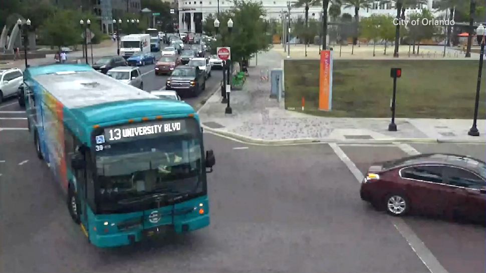 watchdog lynx bus bad busing behavior