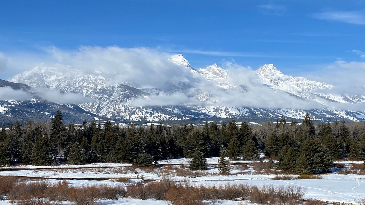 Ohio man stranded on a mountain, survives