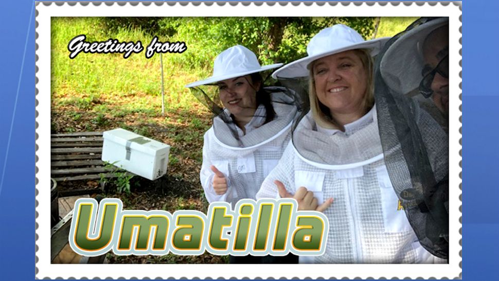 Florida on a Tankful: D and J Apiary in Umatilla