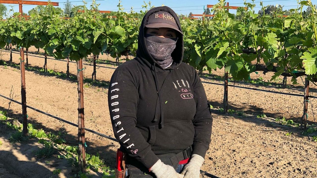 Farmworkers Struggling During Coronavirus Pandemic