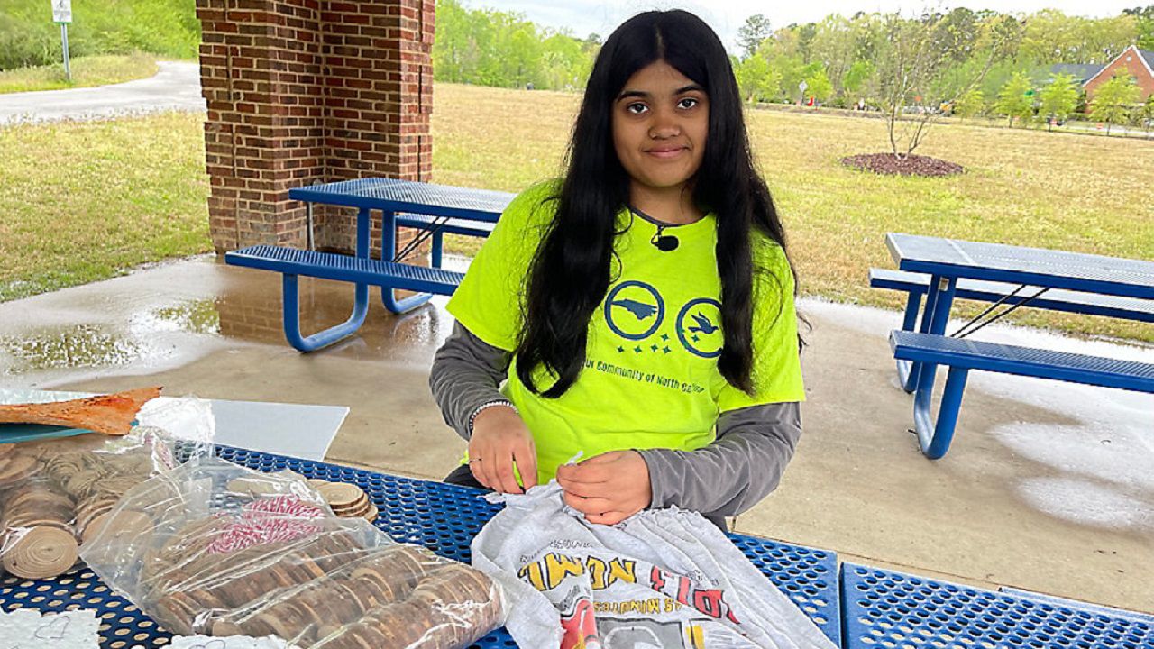 Young people to promote climate action at Apex Earthfest