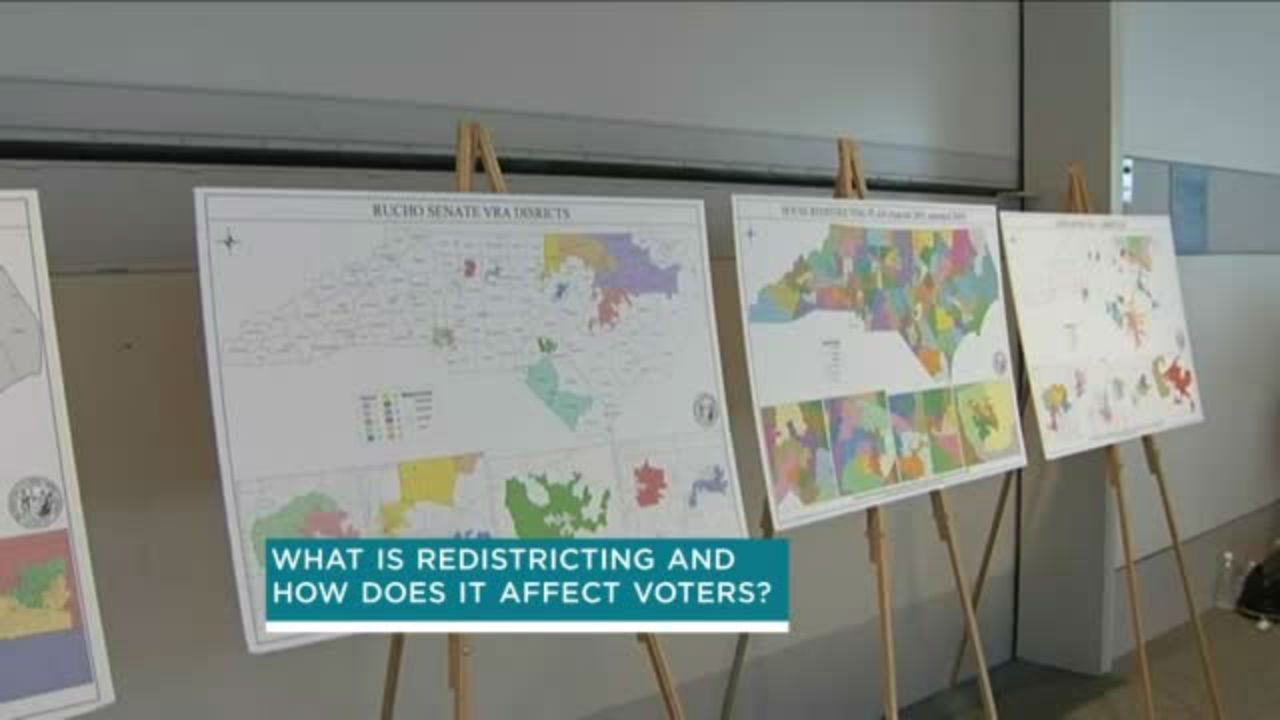 What is redistricting and how do courts decide what is right?