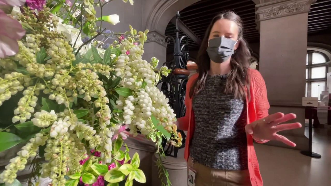 Biltmore Blooms and Art in Bloom celebrates spring's arrival