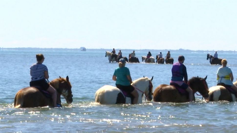 Horseback Water Rides Thriving Business, But Concerns Exist