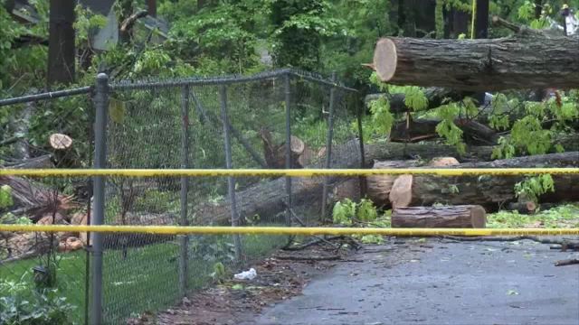 Soggy ground from two days of rain causes trees to fall in Charlotte