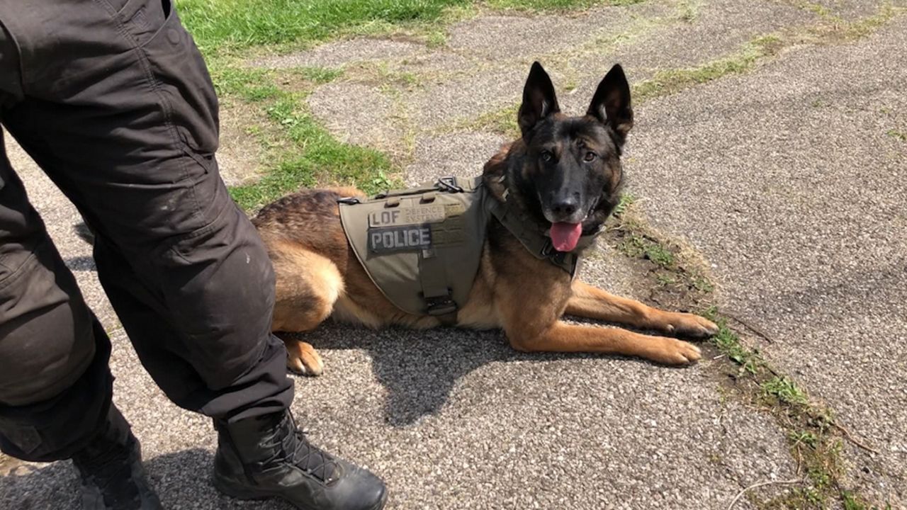 Matt Haverkamp Foundation Provides 81 K-9s for Law Enforcement