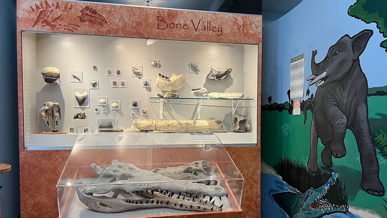 Explore the architecture of Polk County Historical Museum