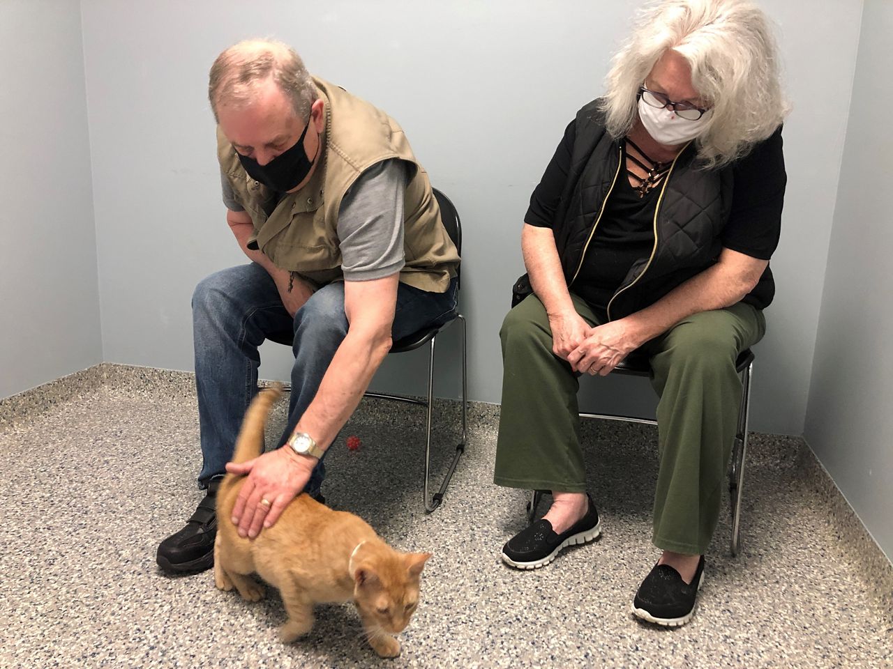 Ky. Humane Society holds first adoption event in pandemic