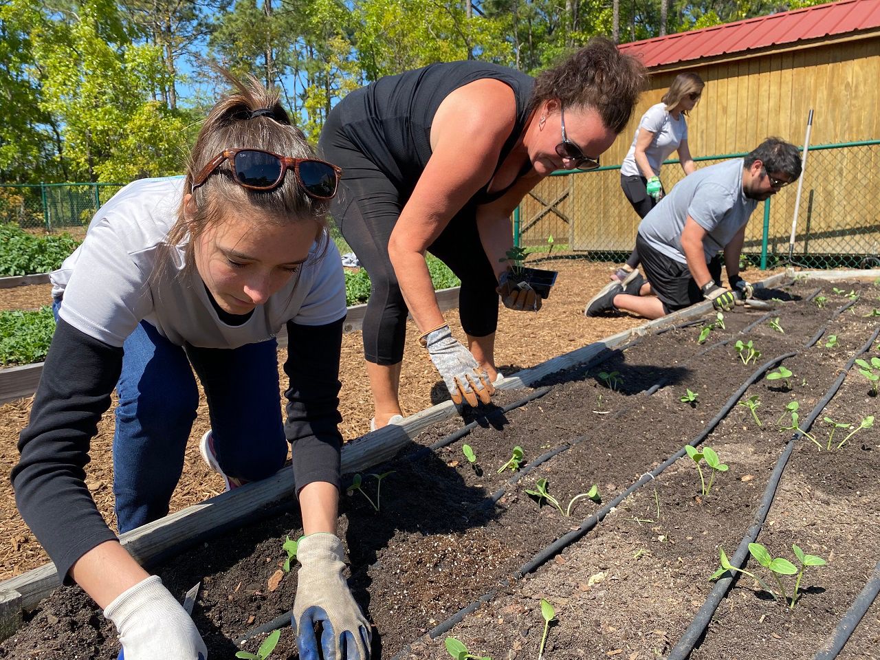 Volunteers give back to the community