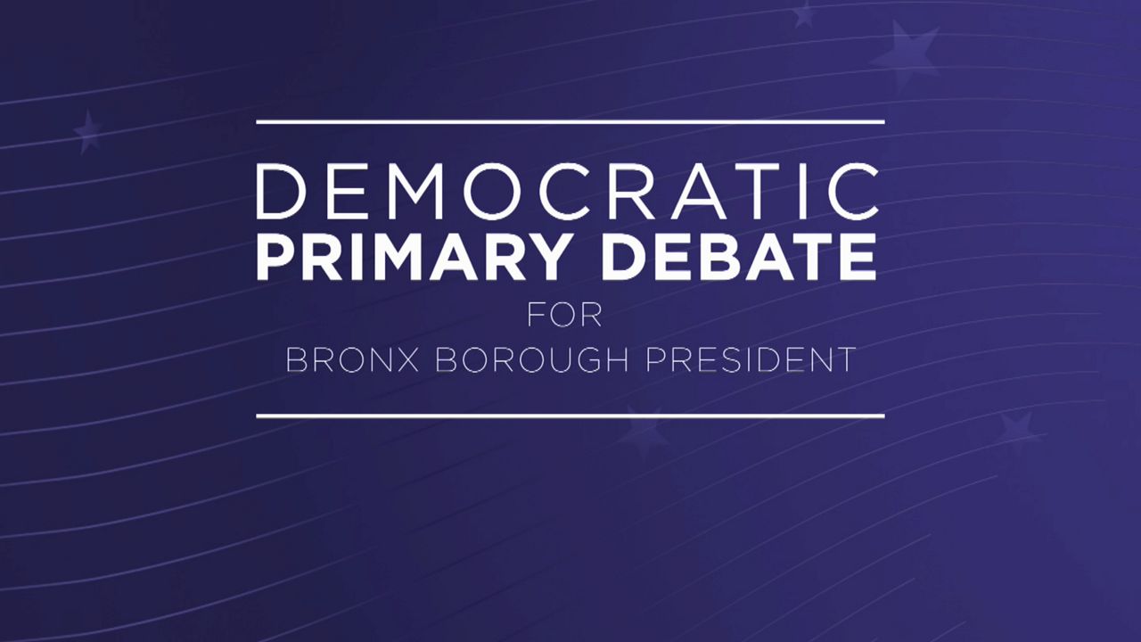 Democratic Bronx borough president candidates debate on NY1