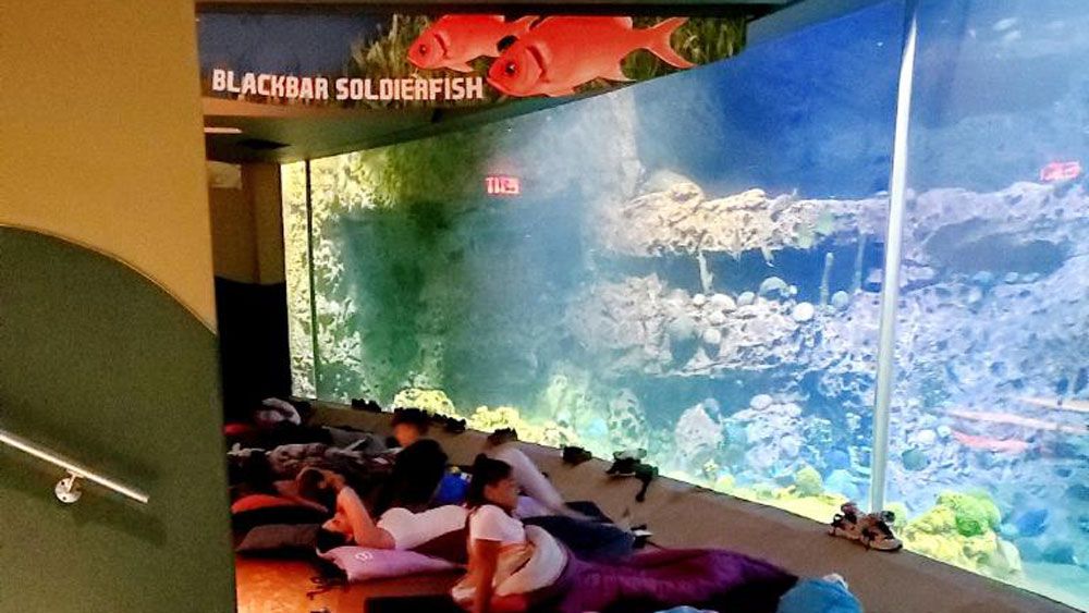 Millennia Gardens Students Take Eco Lessons To SeaWorld, Real World