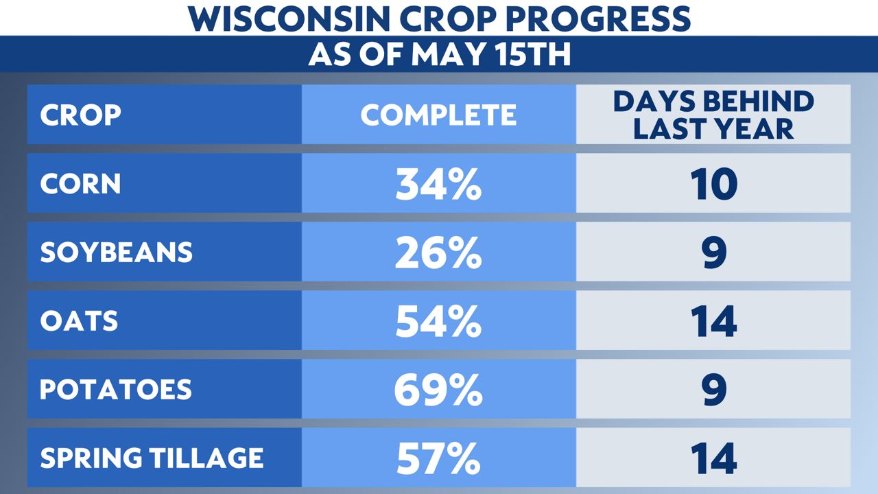 How does your garden grow?