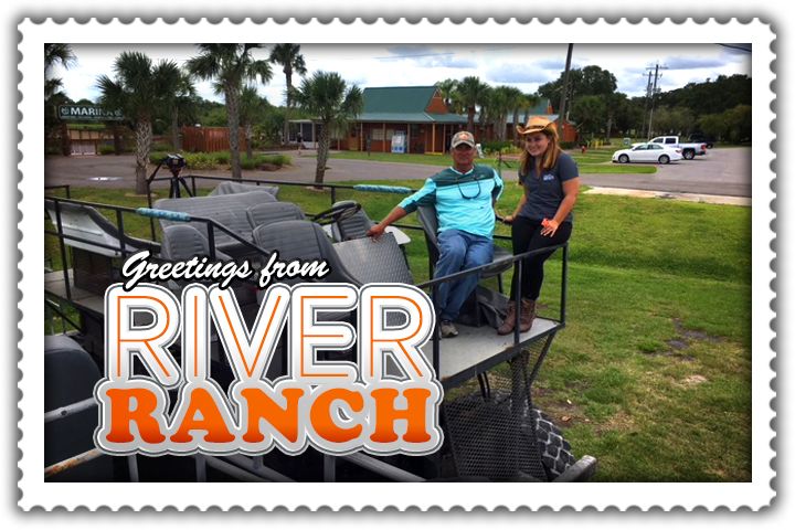 Florida On A Tankful: River Ranch Swamp Buggy Tour Rides