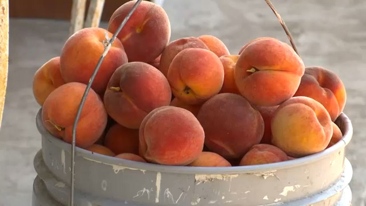 Weekend in N.C. — Peaches, Christmas fun and a feast