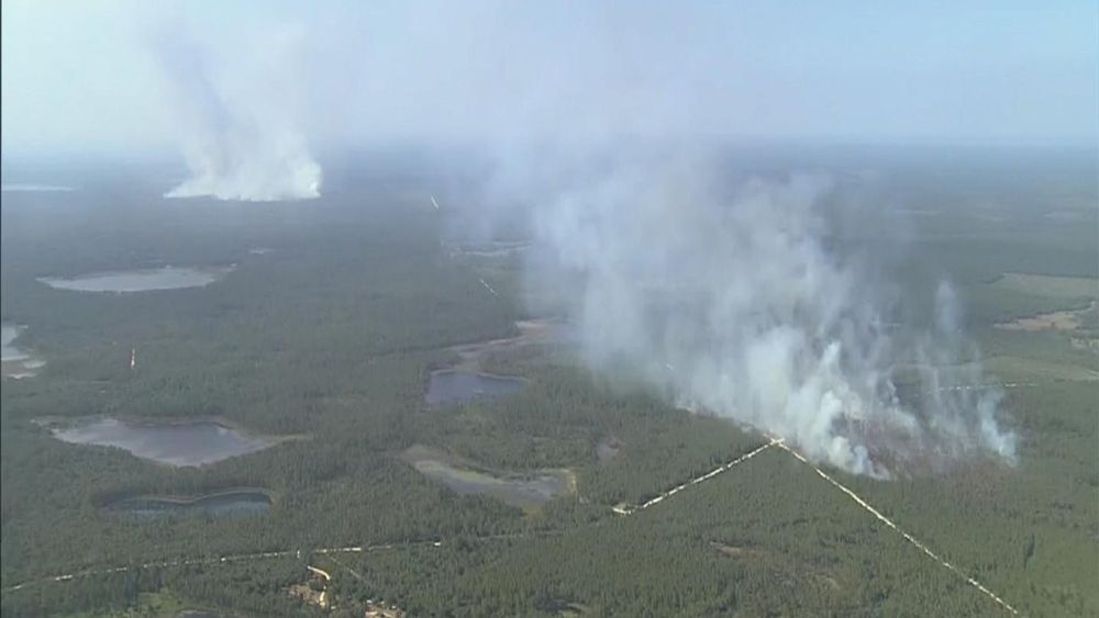 Crews Battle 700-Acre Brush Fire at Ocala National Forest