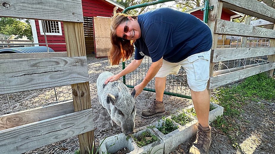 Pinellas Park's Patti Johnson Farm outreach with contests
