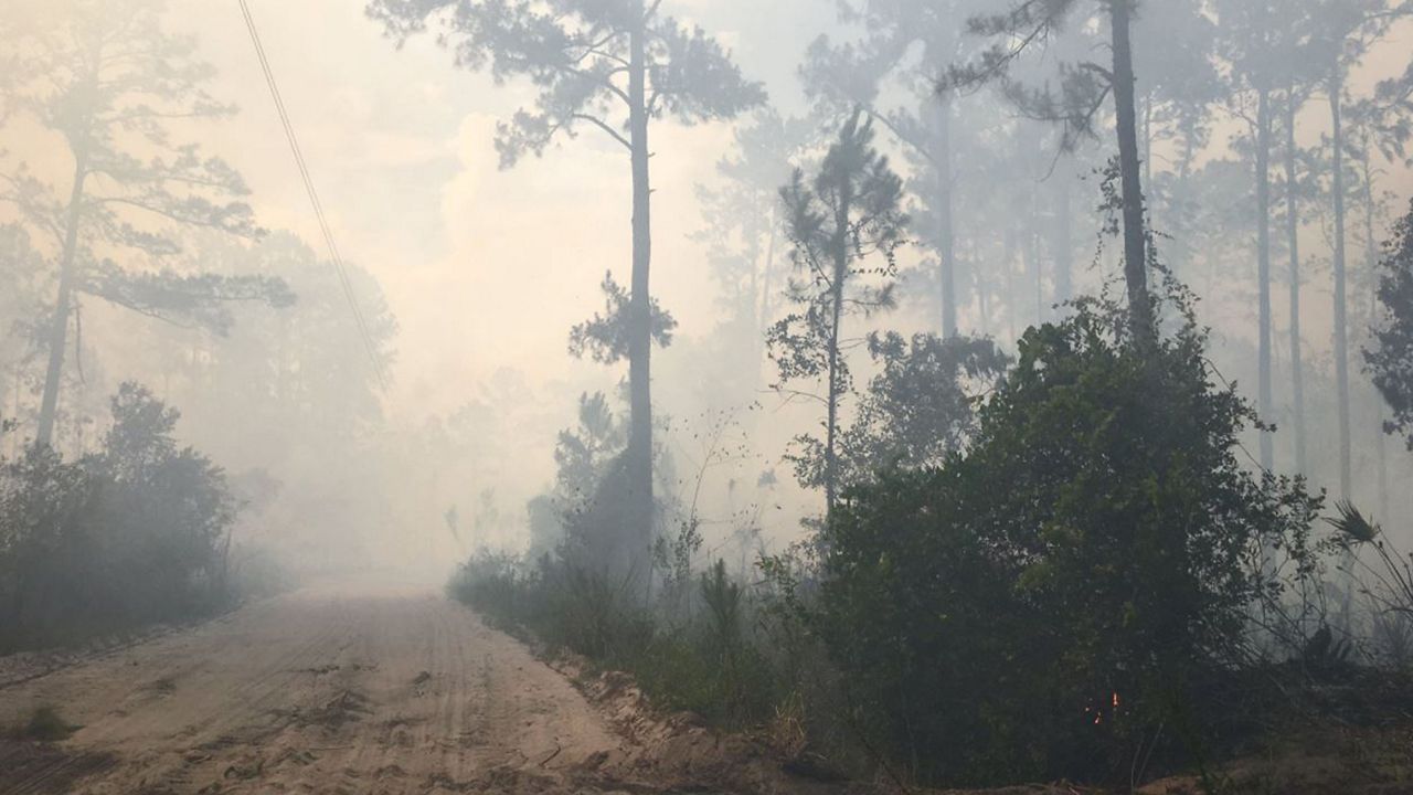 Officials: DeBary Brush Fire Threatening Power Plant, Railroad