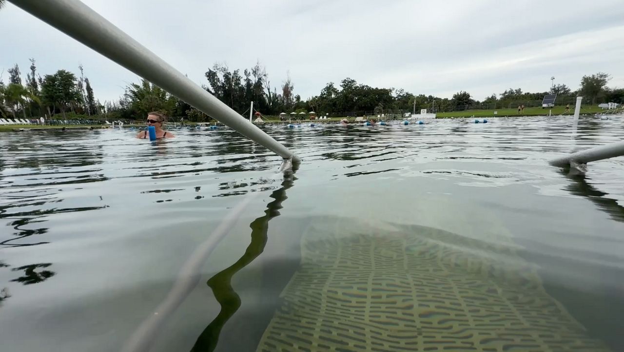Warm Mineral Springs Park master plan underway
