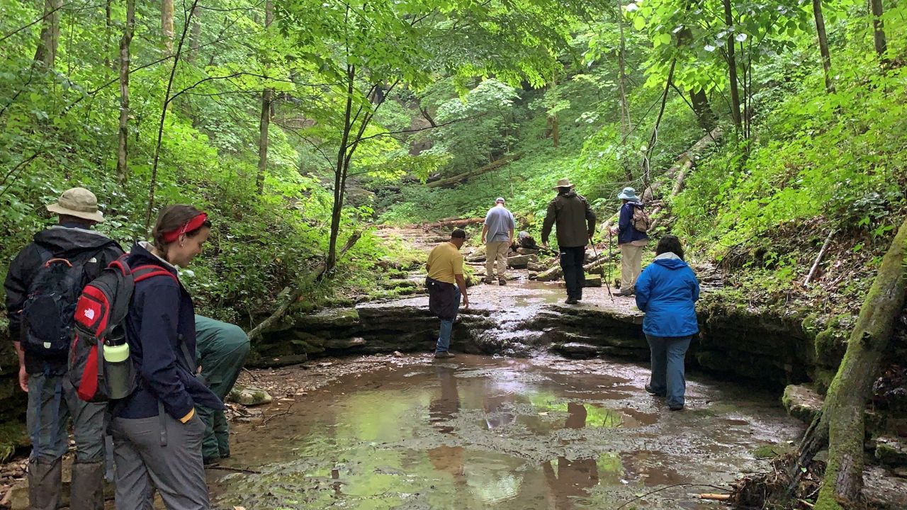 Floracliff Nature Preserve: Land untouched for centuries