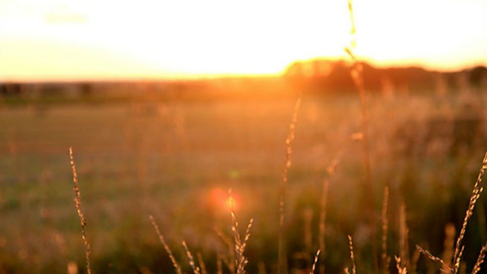 A Nice Weather Weekend Ahead