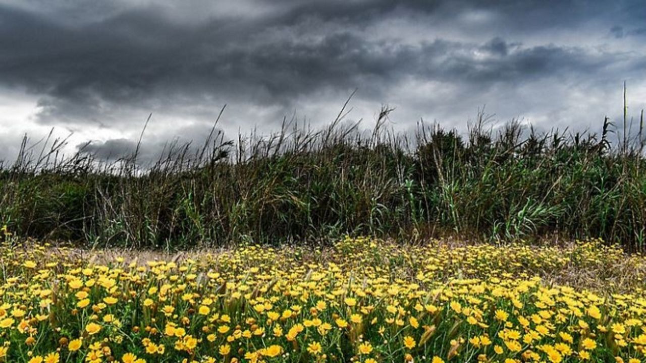 Stormy End to Spring