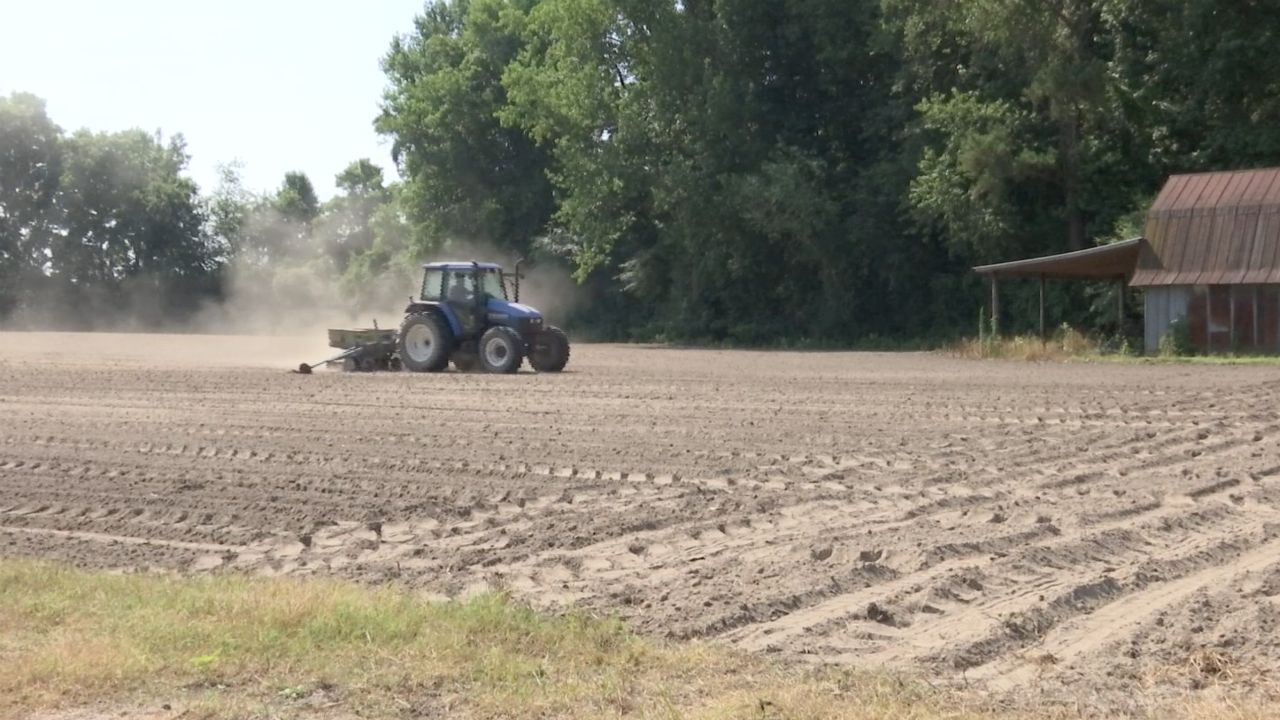 Excessive rain impacts crops in Onslow County