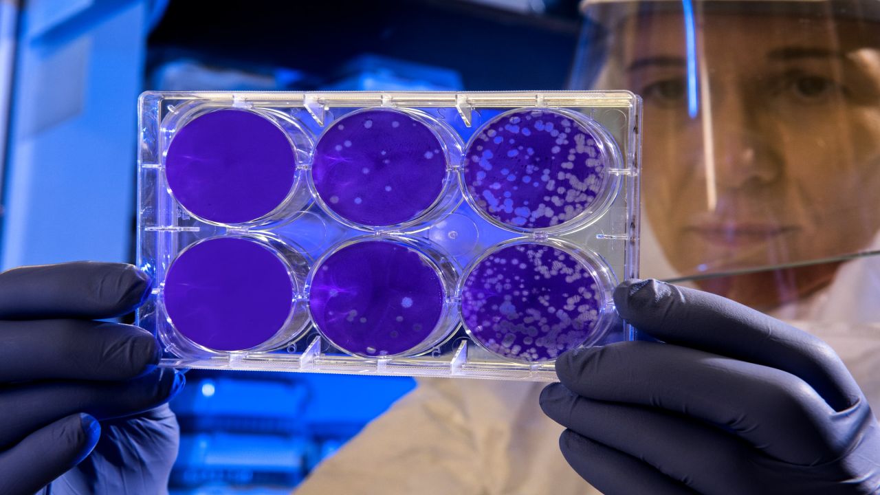 Examining Distrust of Science During Pandemic