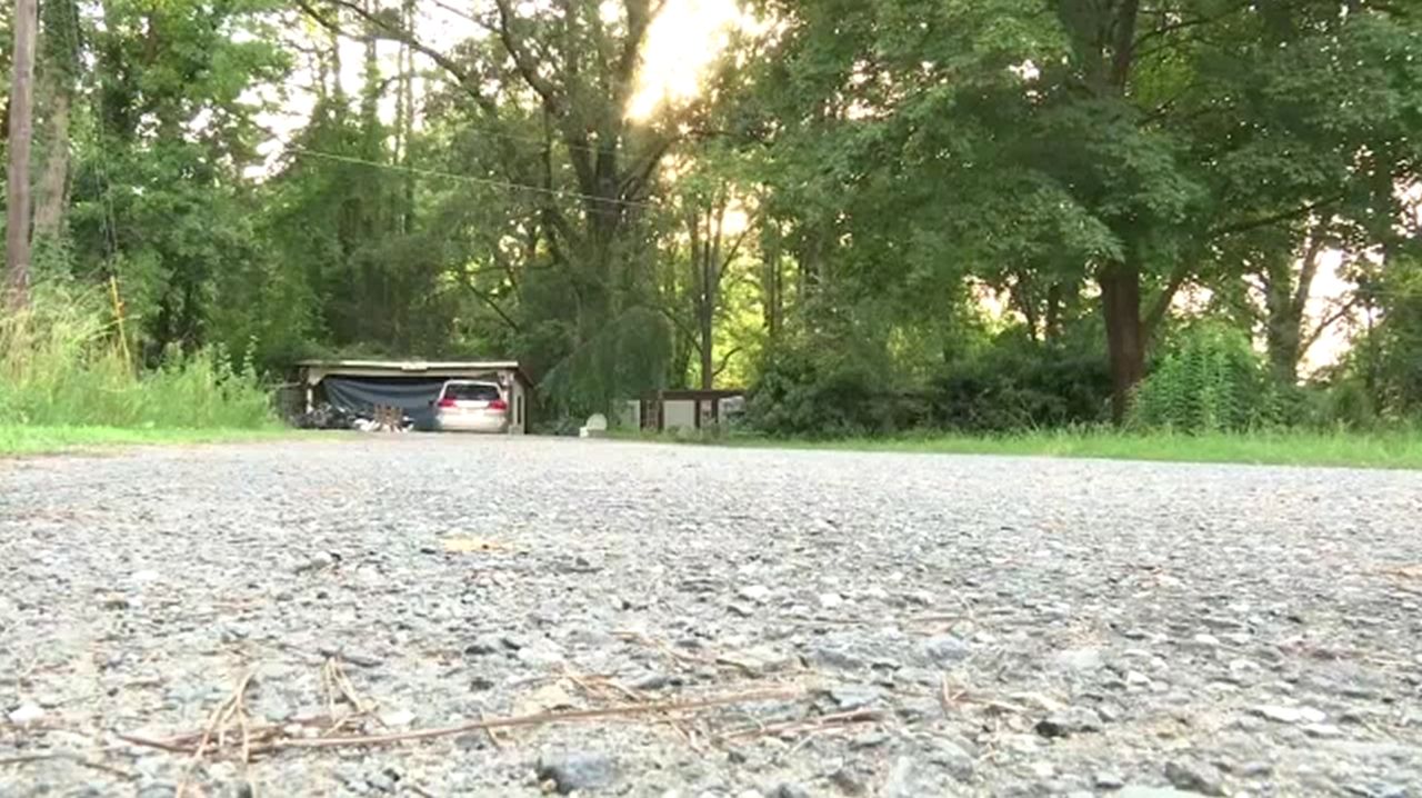 SC Man Charged After 56 Dogs Found in Home