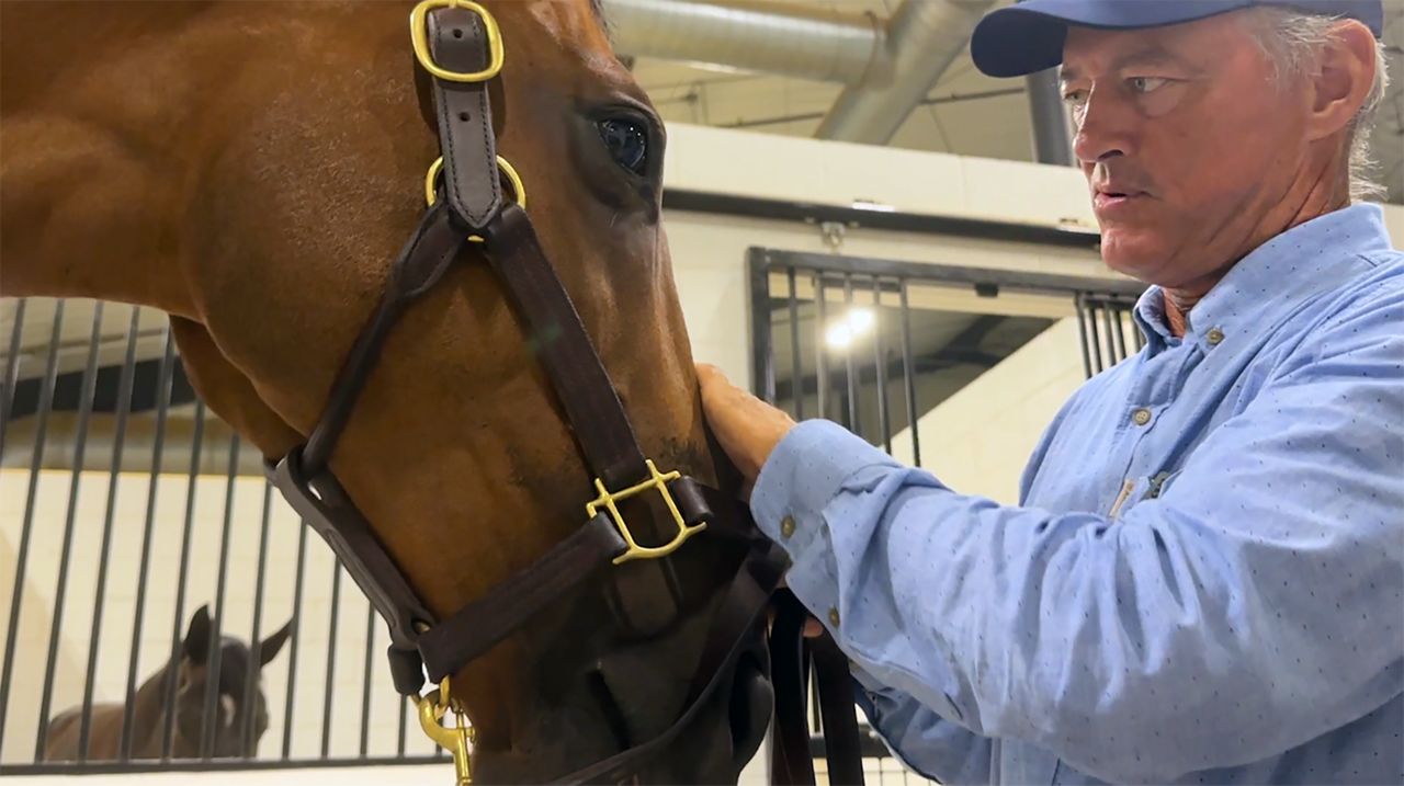 Equestrian athletes attracted to Ocala’s growth