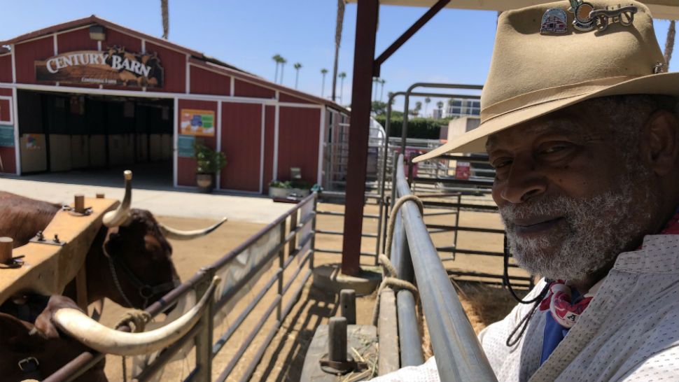 Orange County Fair Drover Utilizes 1800s Tools to Care for Oxen
