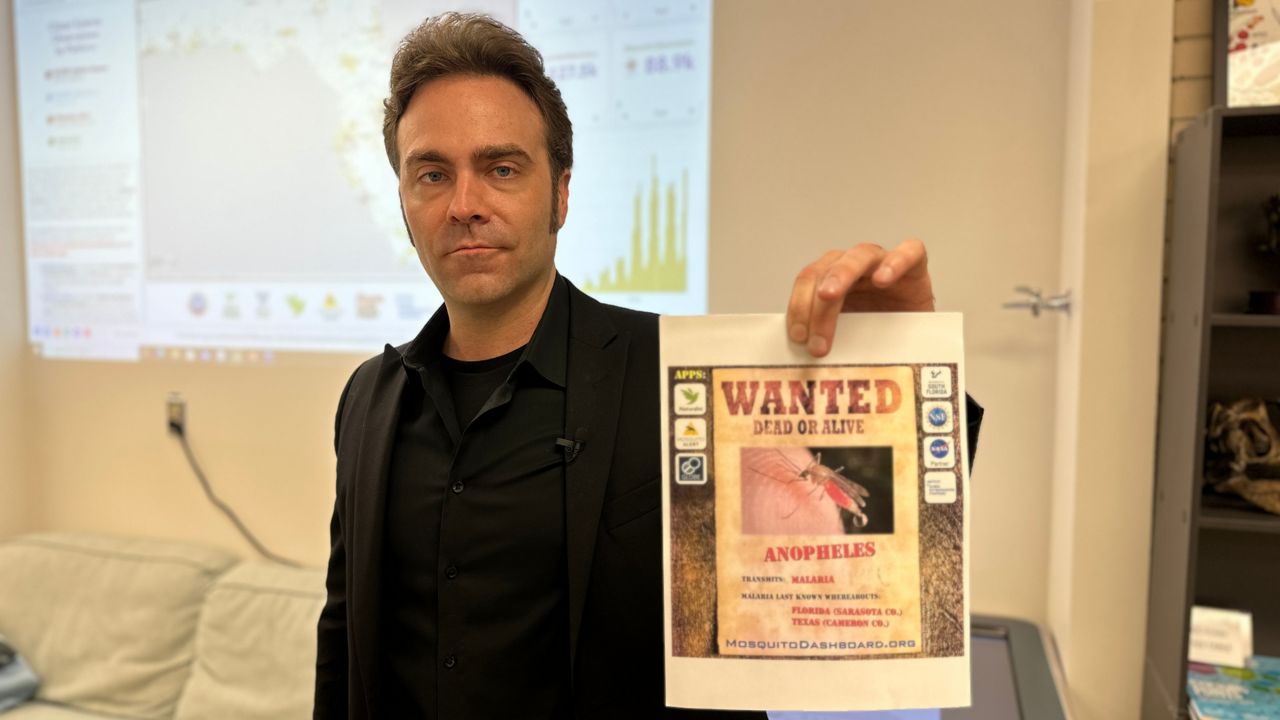 USF scientists: Smartphones can aid in mosquito research