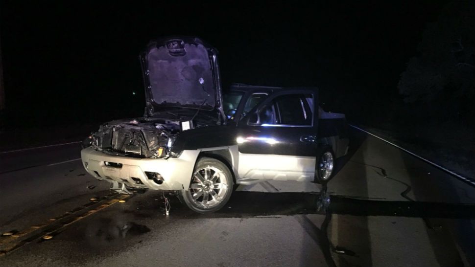 Driver crashes after hitting cow on Hwy 183
