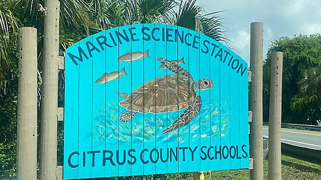 Anonymous donations helps Citrus County Marine Science Station with ...