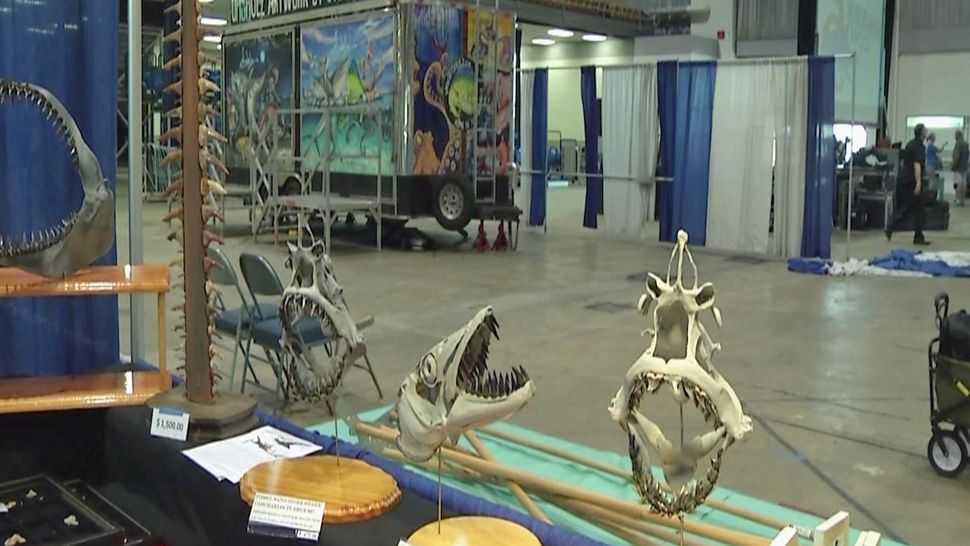 Stars of "Jaws", "Sharknado" in Tampa for SharkCon
