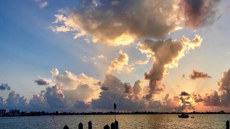 Weather forecast: Scattered showers overnight into Wednesday