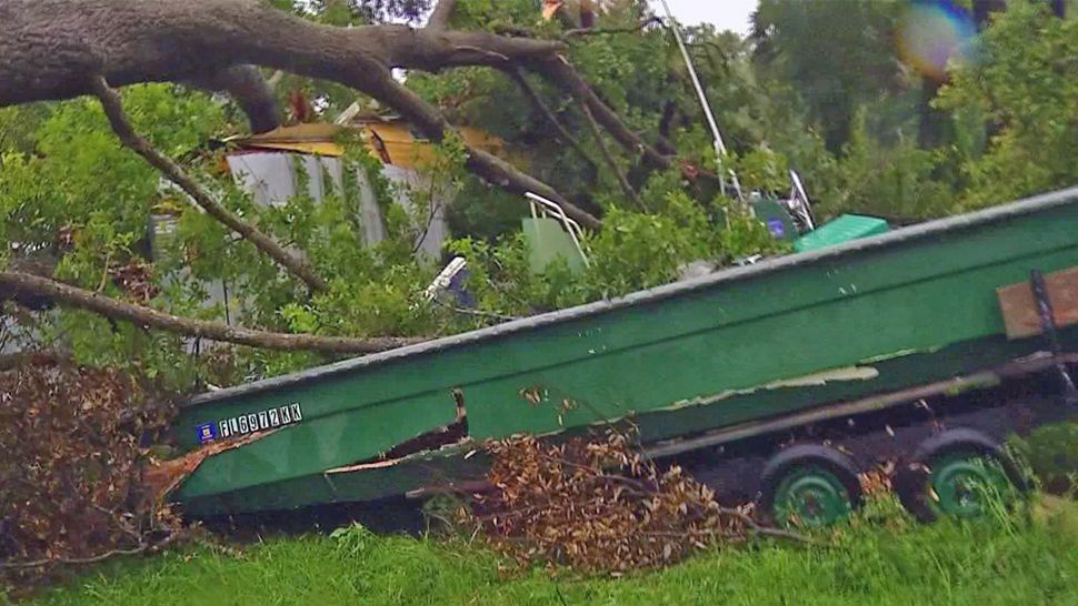 Fallen tree damages home, crushes boat in Wildwood