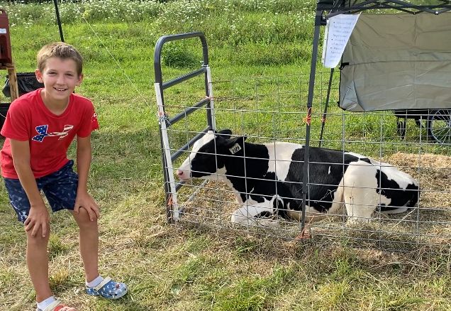 Brandel's Blooms Sunflower Patch Open In Lake Mills