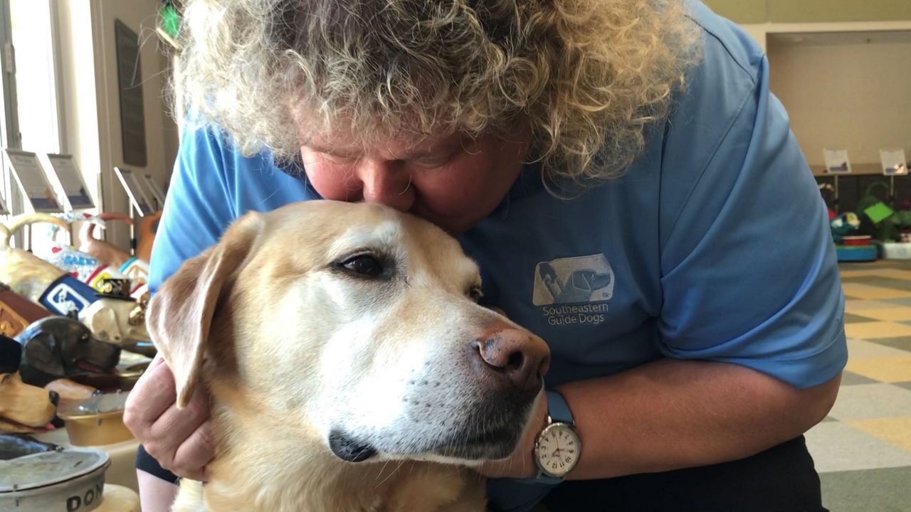 Guide Dog Organization Working to Match Dogs During Pandemic